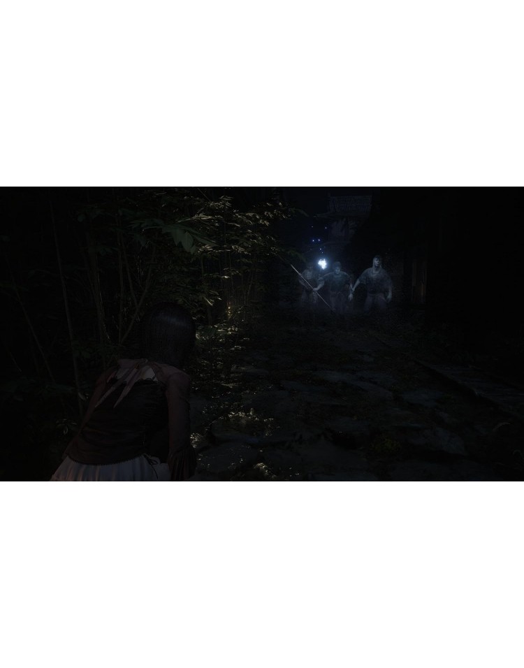 FATAL FRAME II Crimson Butterfly Remake (Game Key Card) NS2