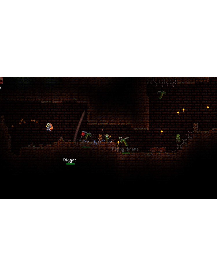 Terraria SWITCH