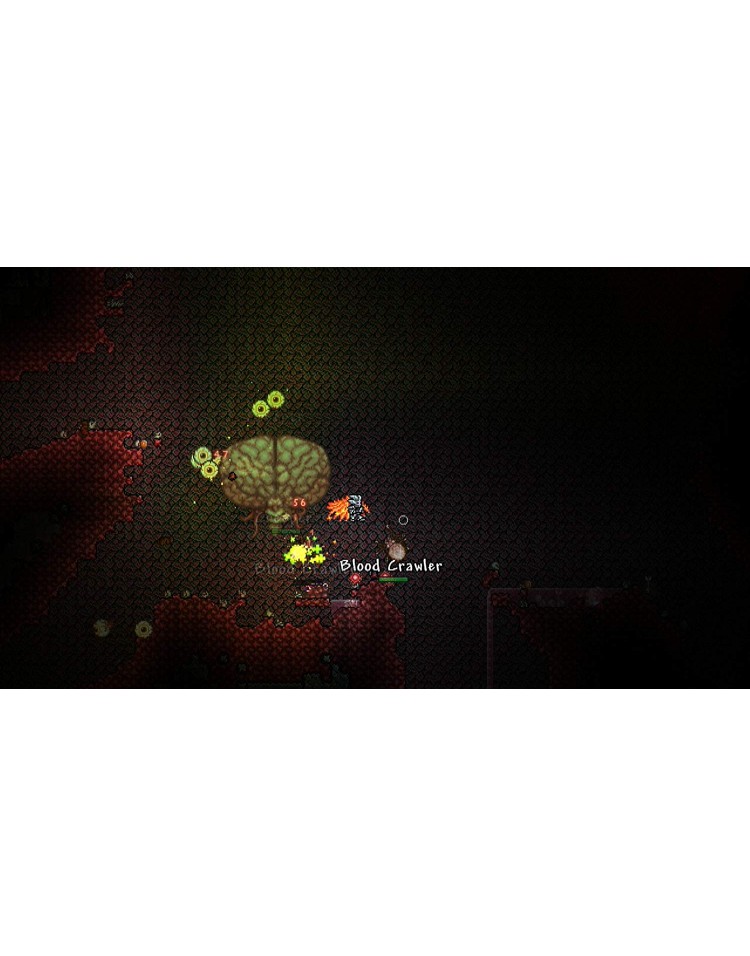 Terraria SWITCH
